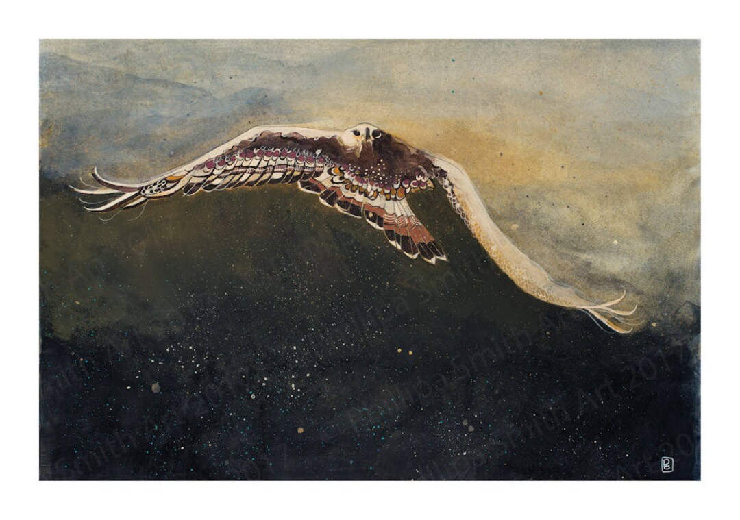 Art Print of Original Illustration, Night Hawk - Etsy