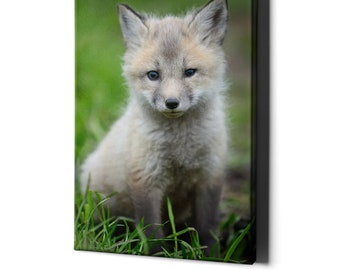 Cute Baby Fox Canvas Print, Fox Kit, Wildlife Canvas Print - Etsy