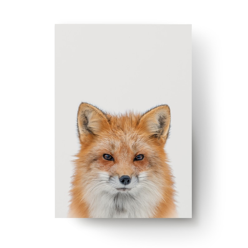 Baby Fox Poster Wall Decor - Little Cute Forest Animal Nursery Girl ...