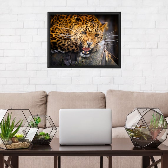 Leopard Cheetah Jaguar Poster