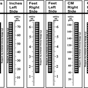 Inches Growth Chart Ruler Vinyl Wall Decal - DIY Child Height Measure ...