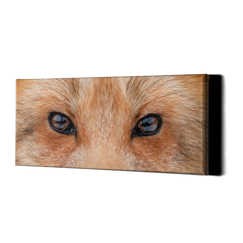 Fox Eyes Wall Art Canvas Cute Animal Room Decor Pictures - Etsy