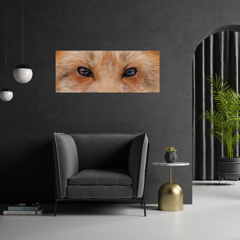 Fox Eyes Wall Art Canvas Cute Animal Room Decor Pictures - Etsy