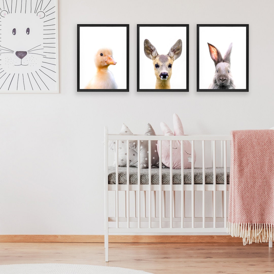 3x Baby Animals Posters Set Nursery Kids Room Decor Cute Animal Wall ...