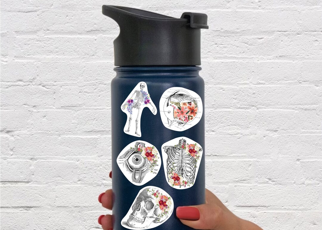 Anatomy Stickers for Hydroflask - Anatomical Decals Gift for Doctors ...