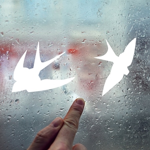 Anti-collision Bird Decals - Window Stickers Effective Deterrents for ...