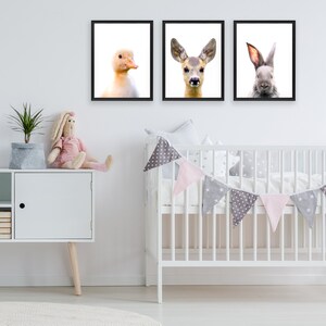 3x Baby Animals Posters Set Nursery Kids Room Decor Cute Animal Wall ...
