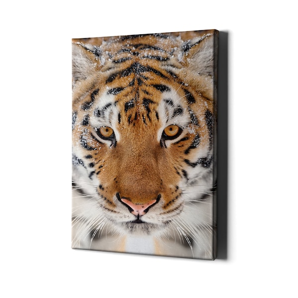 Bengals Picture Frame - Etsy