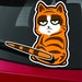 Rear Window Car Decal - Sticker Vinyl for Back Truck Windshield - Cute ...