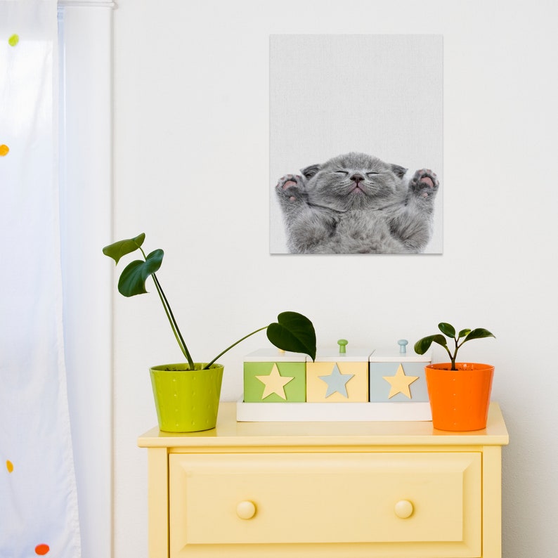 Baby Cat Wall Canvas Kid Girl Room Art Decor Kitty Lover - Etsy