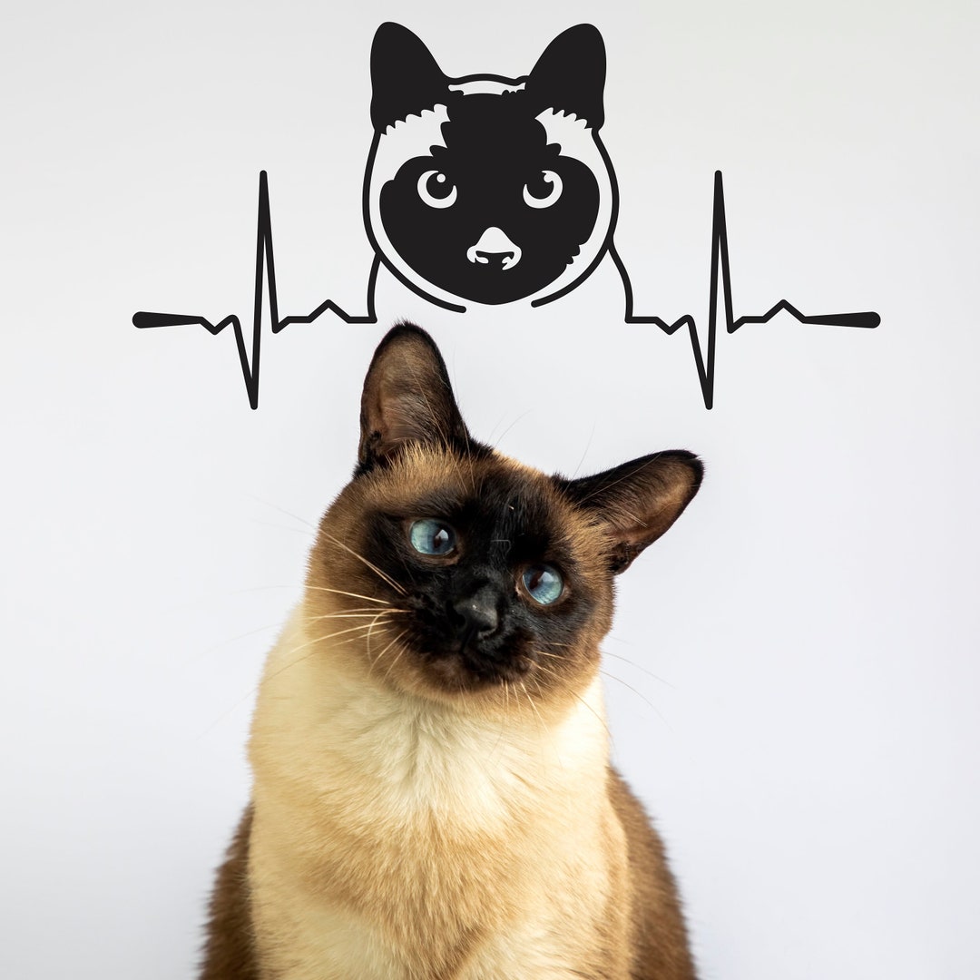 Siamese Cat Sticker - Cute Kitty Vinyl Wall Decal - Funny Kitten Art ...