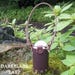 Larp Light, Fantasy Fairy LED Lantern, Cosplay Costume Prop - Etsy