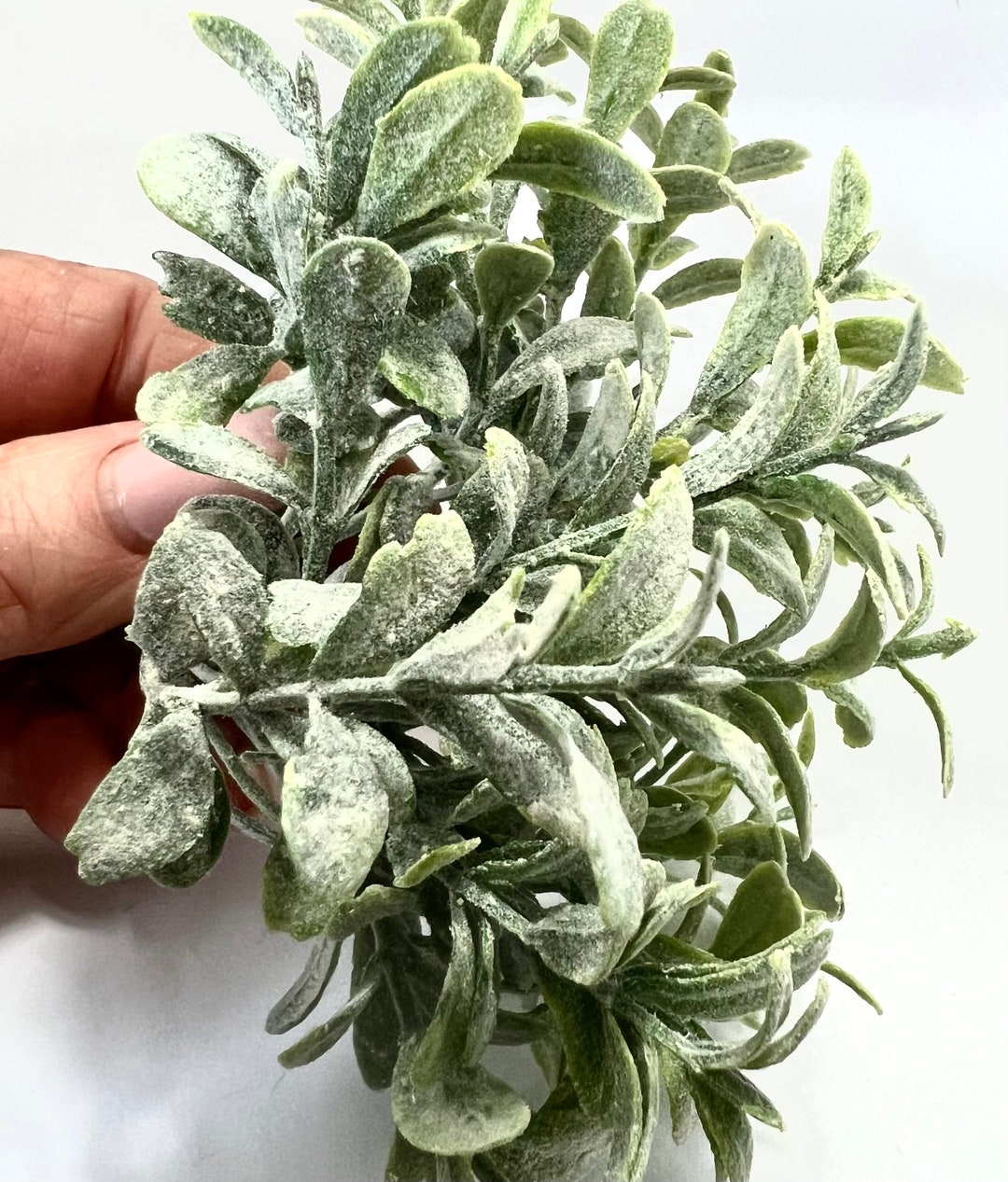 Artifical Greenery, Bag of 10 Springs, Craft Supplies, Floral Arranging ...