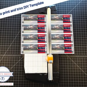 Baseball Wedding Seating Chart Place Card Tickets, Boston Guest Name ...