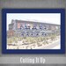 Baseball Stadium Table Number Signs / Custom Ballpark Wedding - Etsy