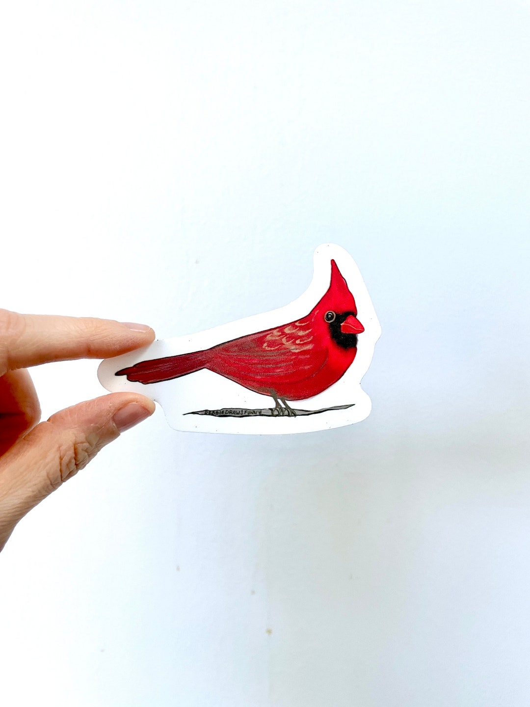 Bird Nerd Sticker, Cardinal Sticker, Bird Lover Gifts, Teacher Stickers ...