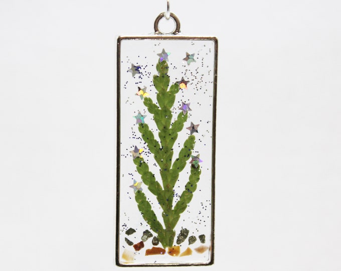 Set of 50 Pressed Flowers/ Grown in Montana USA/ Small Northern Lights ...