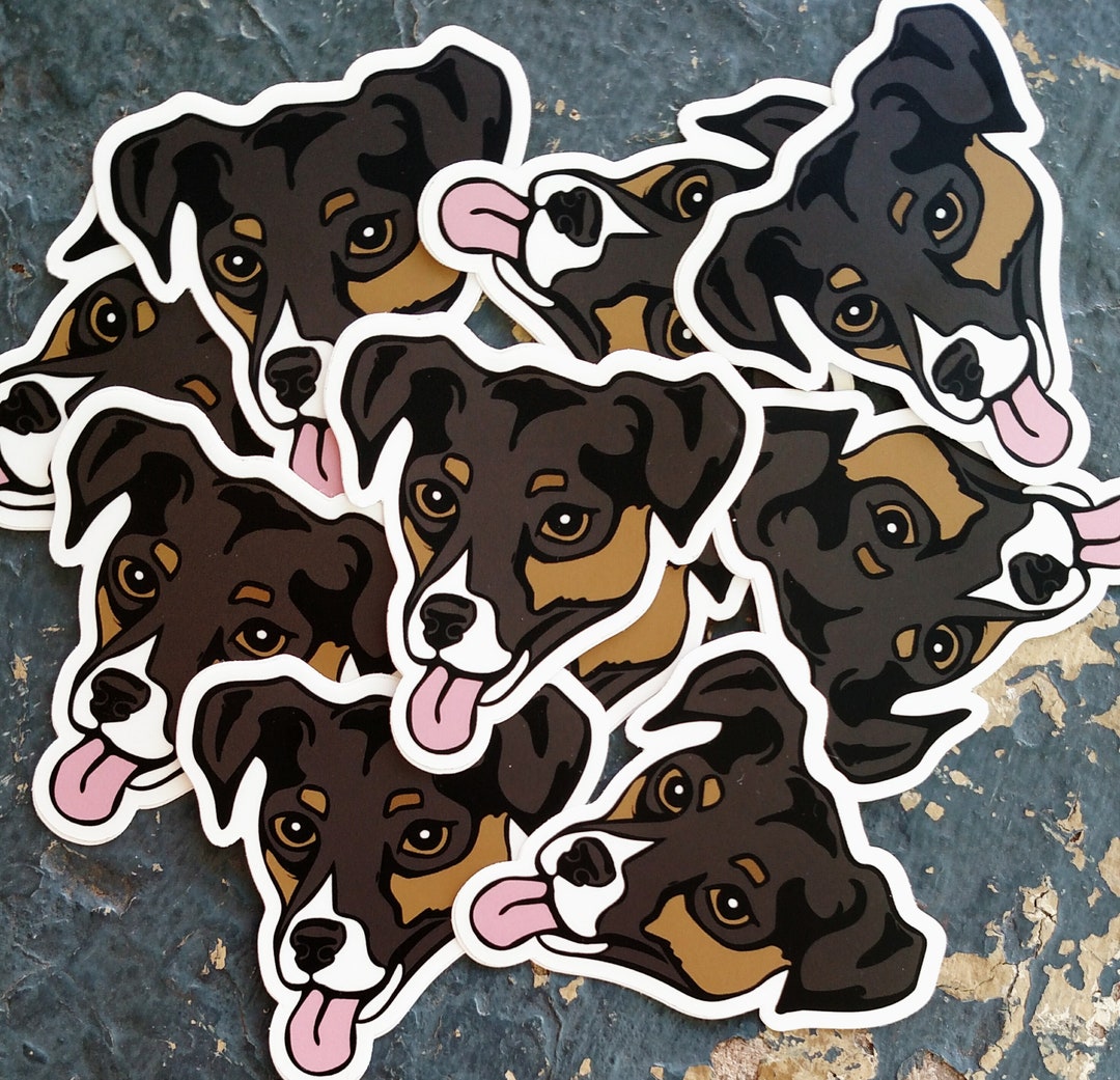 Dog Doggie Rat Terrier Jack Russell Mutt Face Charity Item Dog Rescue ...