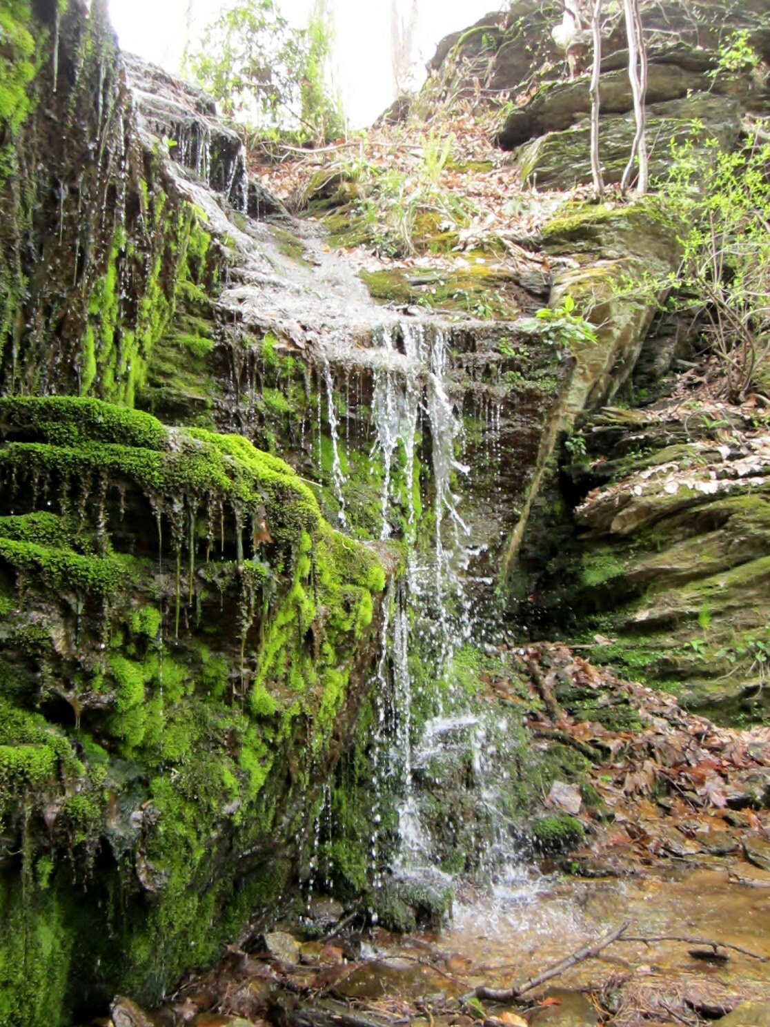Mossy Waterfall 5X7 Photo, Green Moss Covered Rocks, Enchanted Forest ...