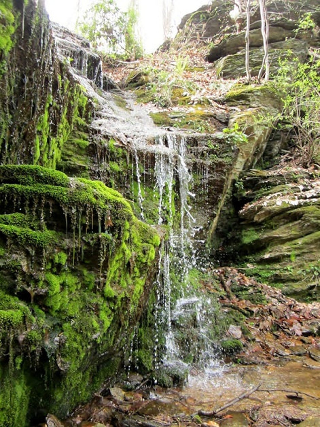 Mossy Waterfall 5X7 Photo, Green Moss Covered Rocks, Enchanted Forest ...