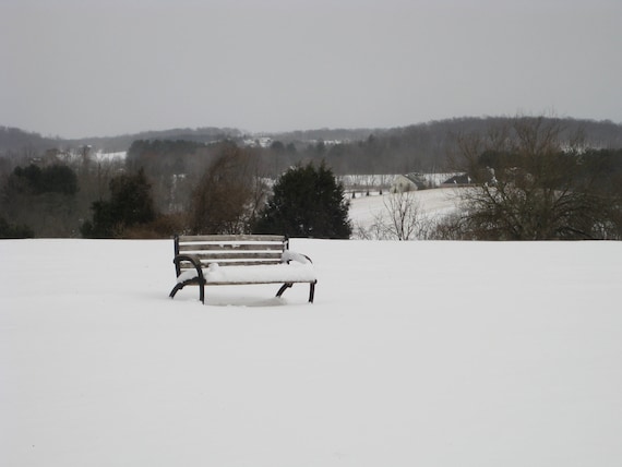 Solitary Bench 8X10 Photo Rustic Cabin Decor Winter - Etsy