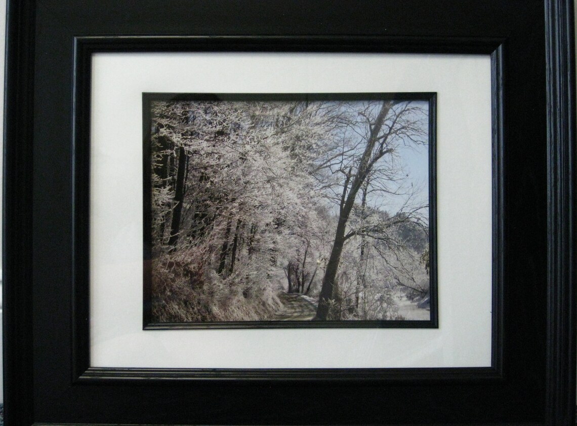 8X10 Frosted Trees Photo, Winter Wonderland, Winter Landscape ...