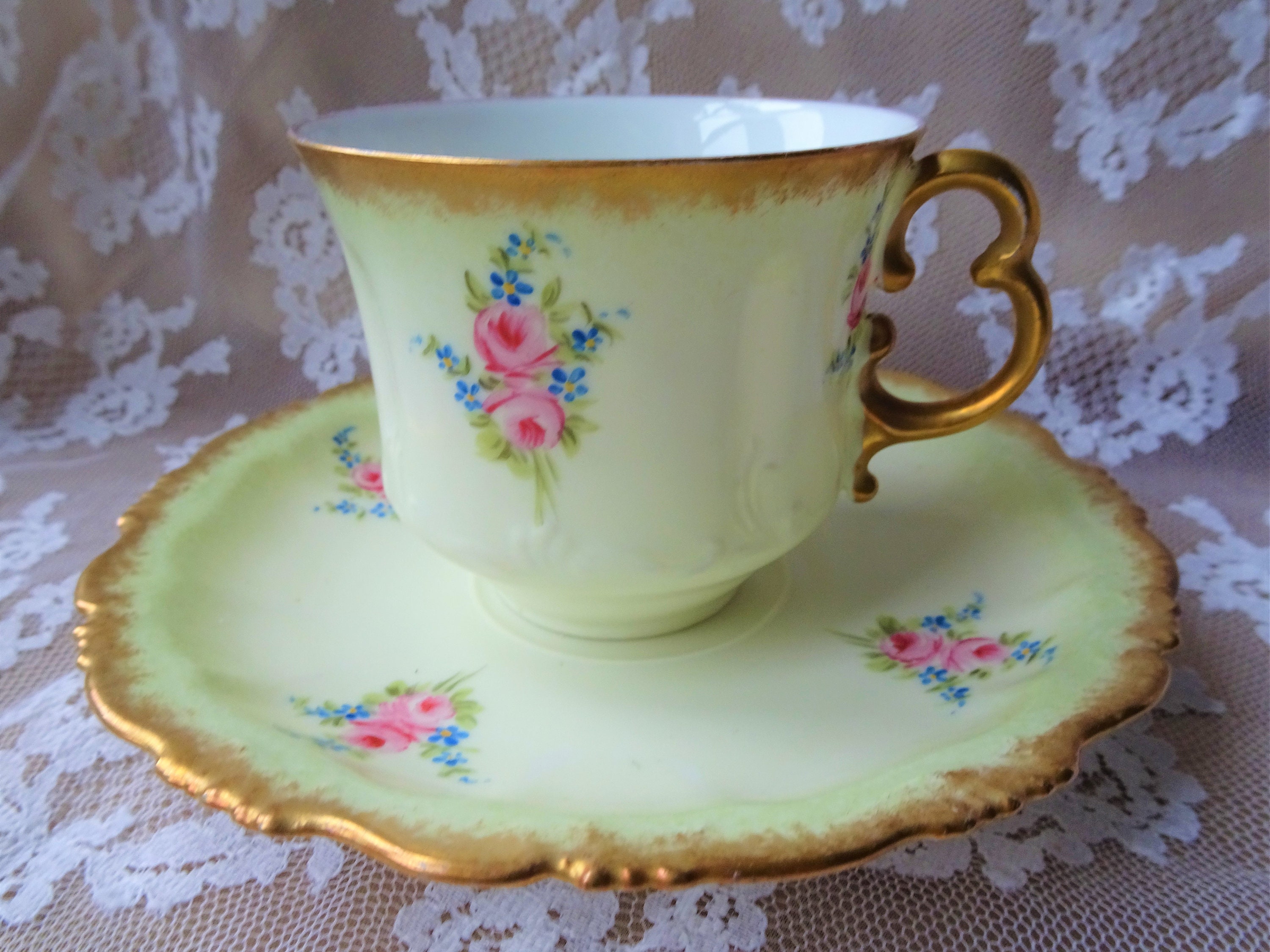 GORGEOUS Antique Rosenthal Hand Painted Teacup and Saucer,hand Painted ...