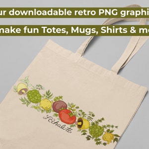 Vintage Spice of Life + Logo Png, 70s Download, Retro T-shirt Designs ...