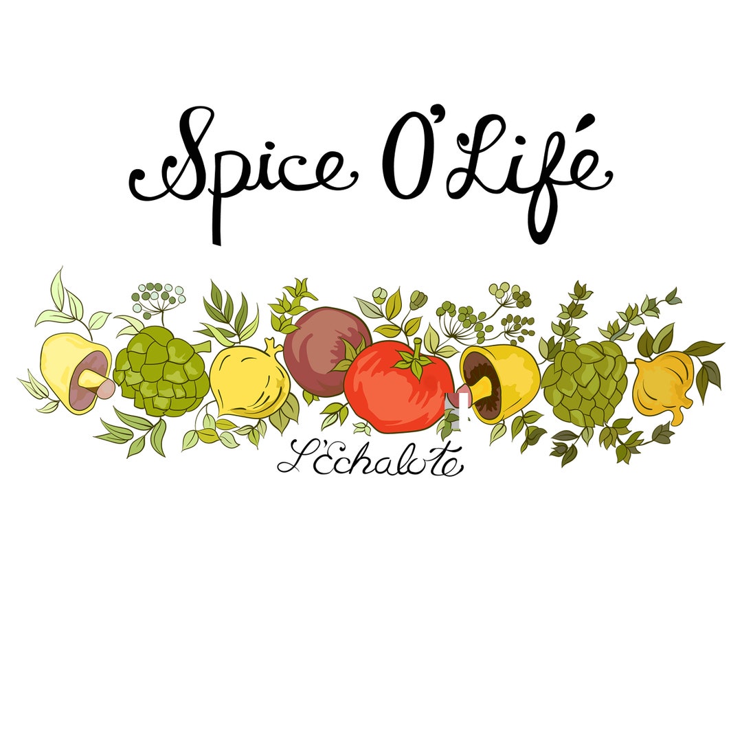 Vintage Spice of Life + Logo Png, 70s Download, Retro T-shirt Designs ...