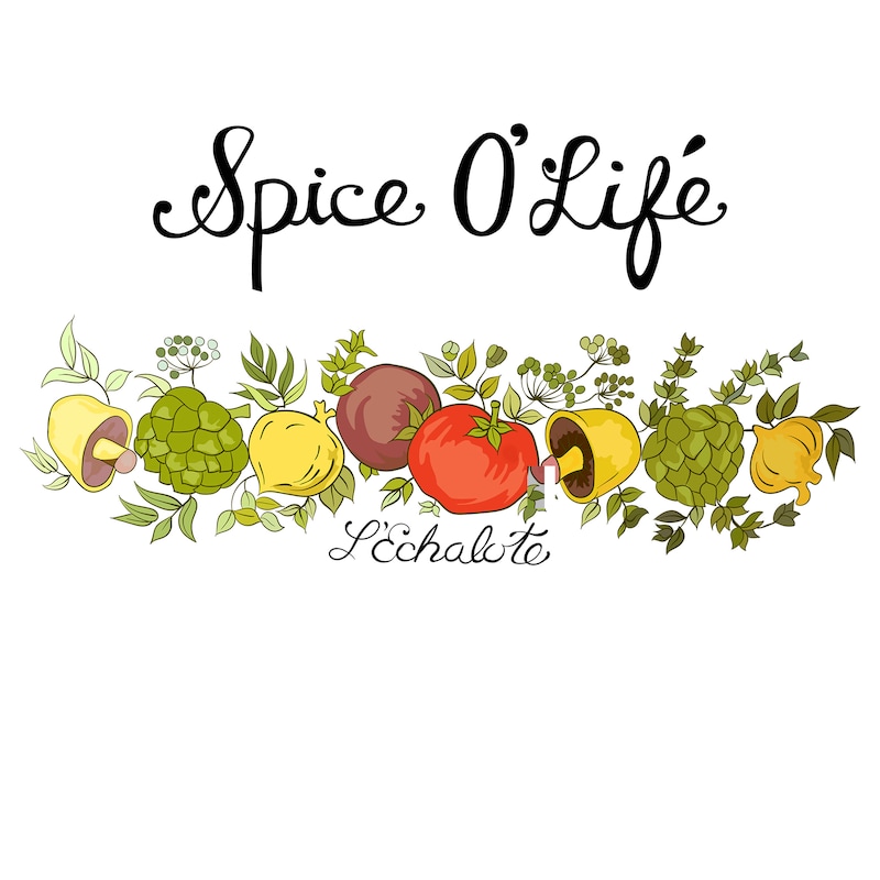 Spice of Life - Etsy