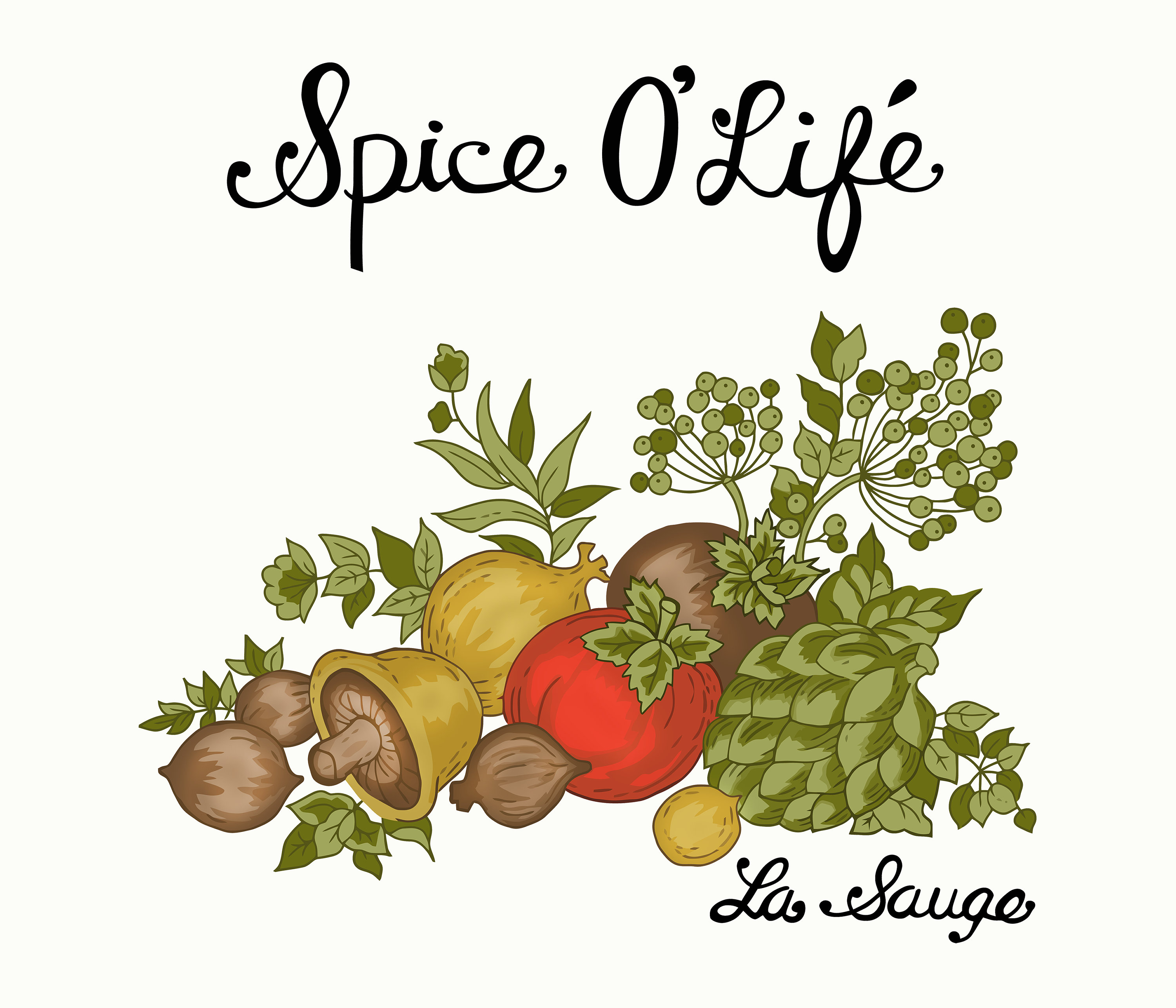 Vintage 70s La Sauge Spice of Life + Logo Png, Corning Ware Boho ...