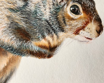 Squirrel Archer Fantasy Character, Original Ink Drawing, Unique ...