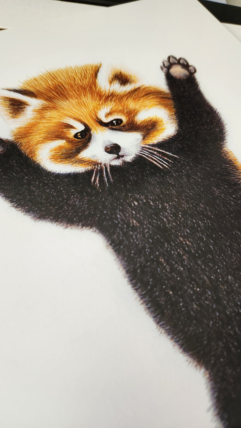 Red Panda Artist Print - Etsy