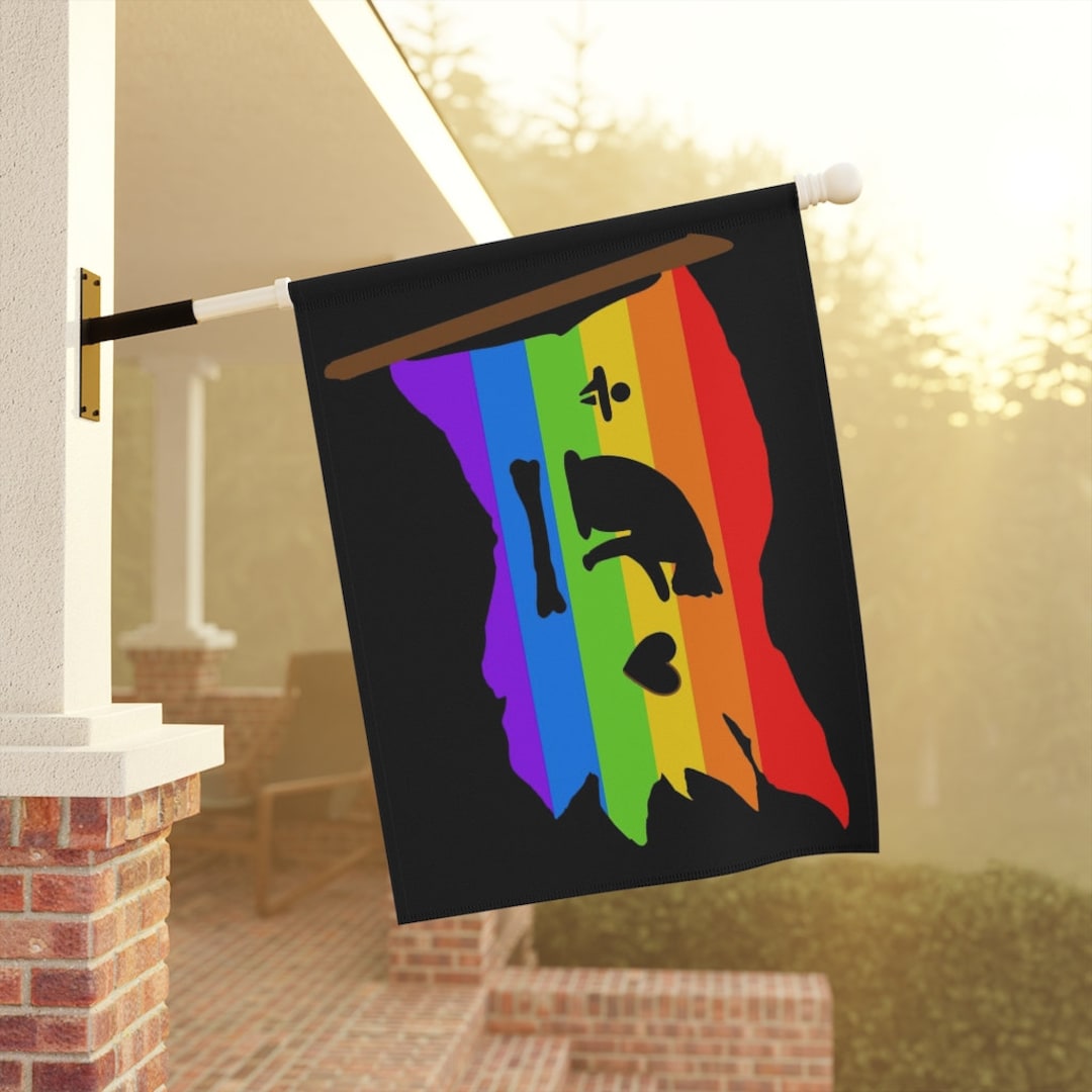 Rainbow Cat Pirate Flag - Etsy