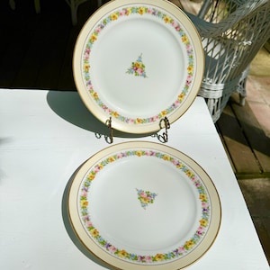 Pair Antique Walter Wilson Signed Porcelain Dinner Plates, Hand Painted ...