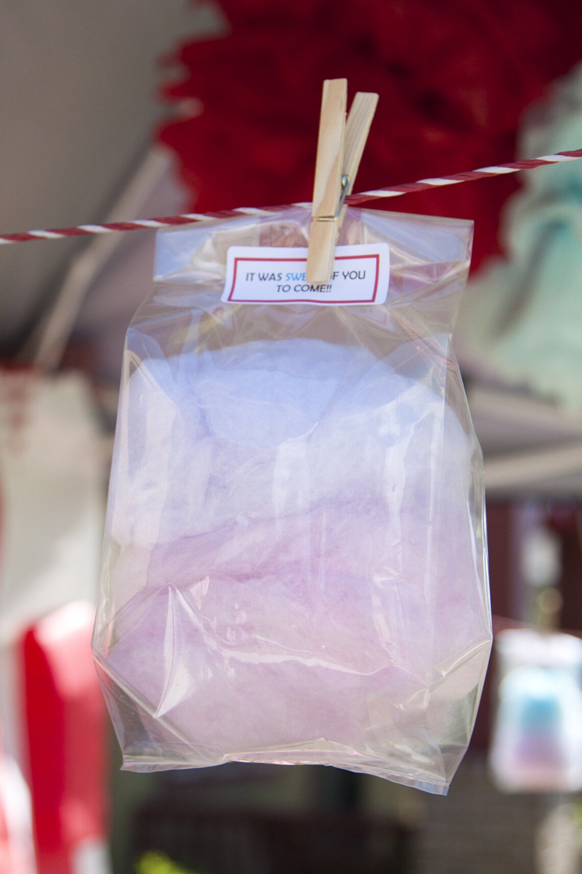 24 Cotton Candy Party Favors with Custom Labels | Etsy