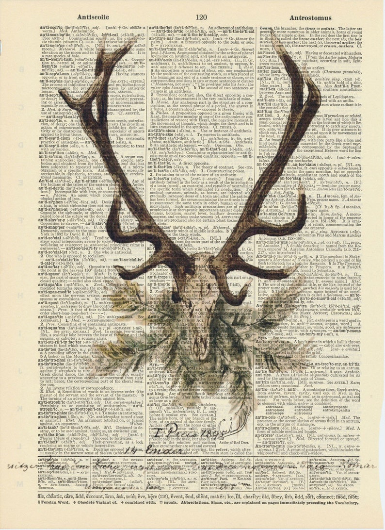 Deer Skull Antlers Dictionary Art Print Vintage Dictionary Page Book Art Print No P44 Etsy