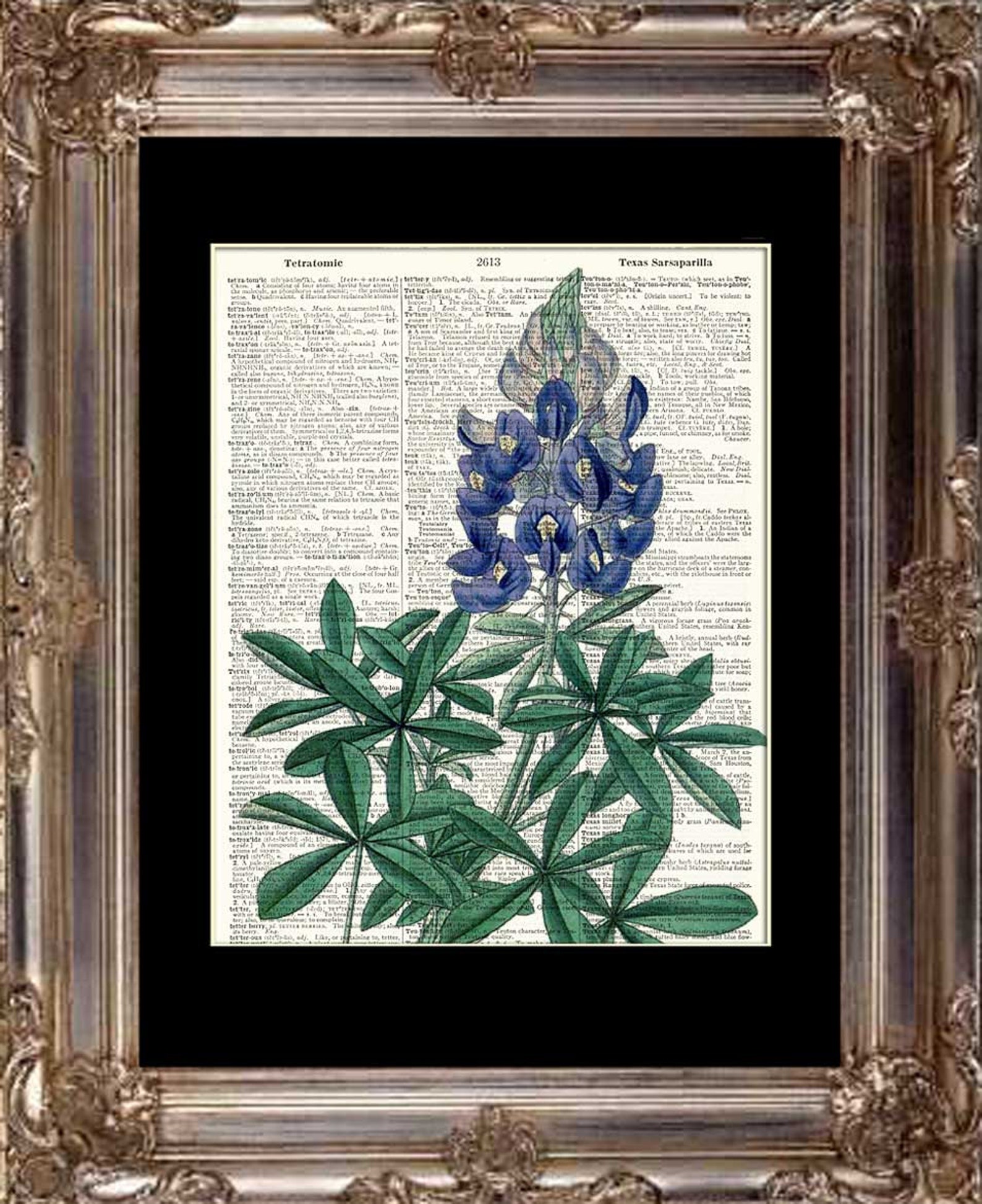 Vintage Dictionary Art Print Bluebonnet Flower Gardening - Etsy