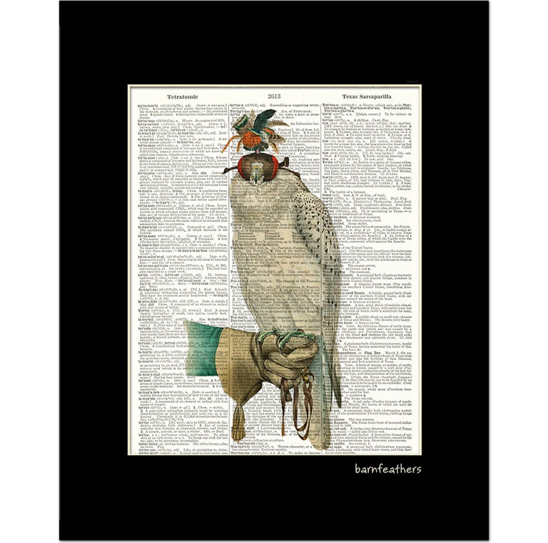 Bird Dictionary Art Print - Falconry Trained Gryfalcon - Vintage ...