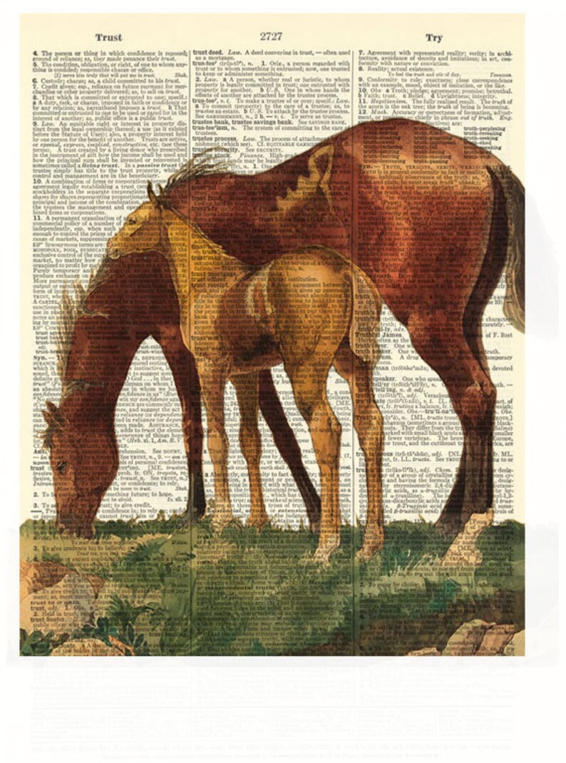 Mare and Colt Horses Vintage Dictionary Art Print Book Page - Etsy