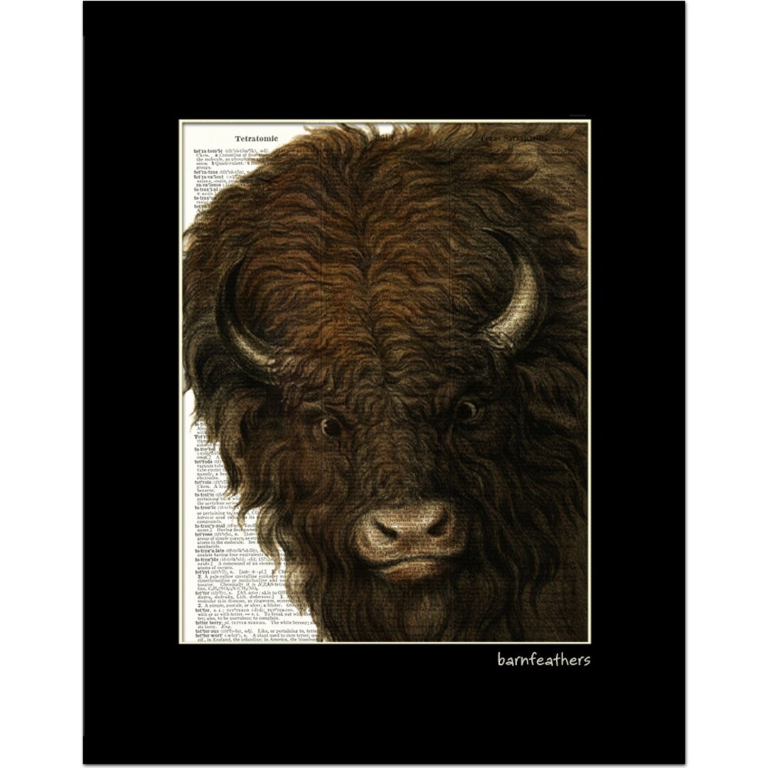 Buffalo Bison Dictionary Art Vintage Dictionary Art Print Book Page Art ...