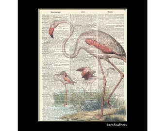 Bird Dictionary Art | Etsy