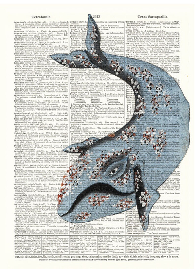 Vintage Dictionary Art Print Blue Whale Vintage Dictionary - Etsy