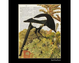 Bird Dictionary Art | Etsy