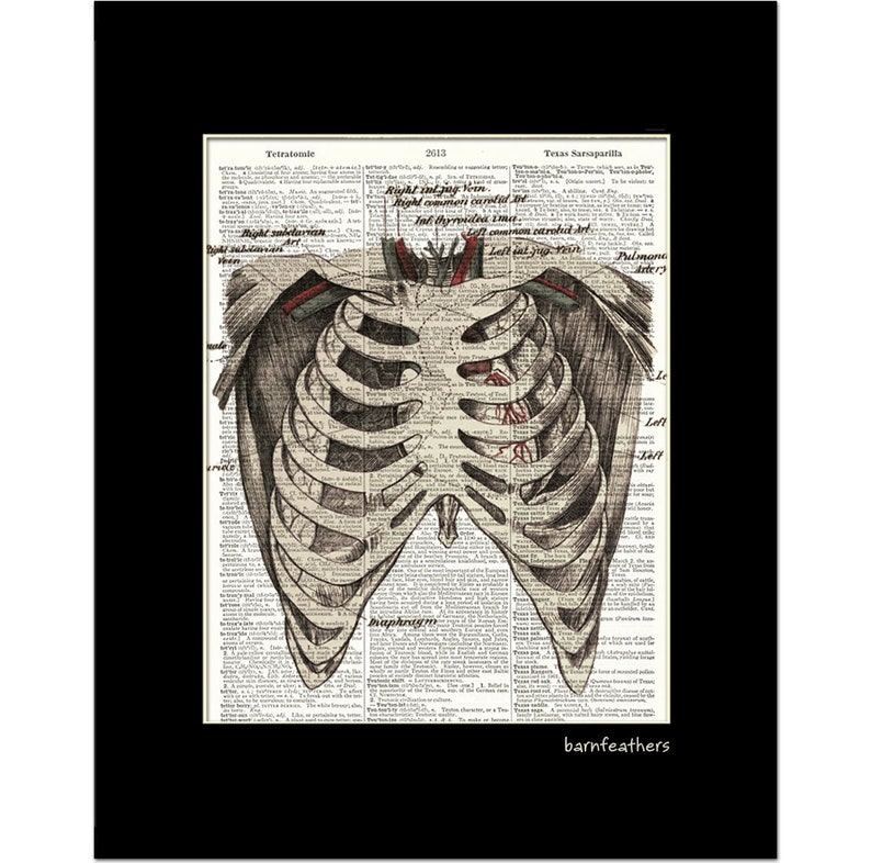 Vintage Rib Cage Anatomy Art - Dictionary Art Print - Vintage Medical ...