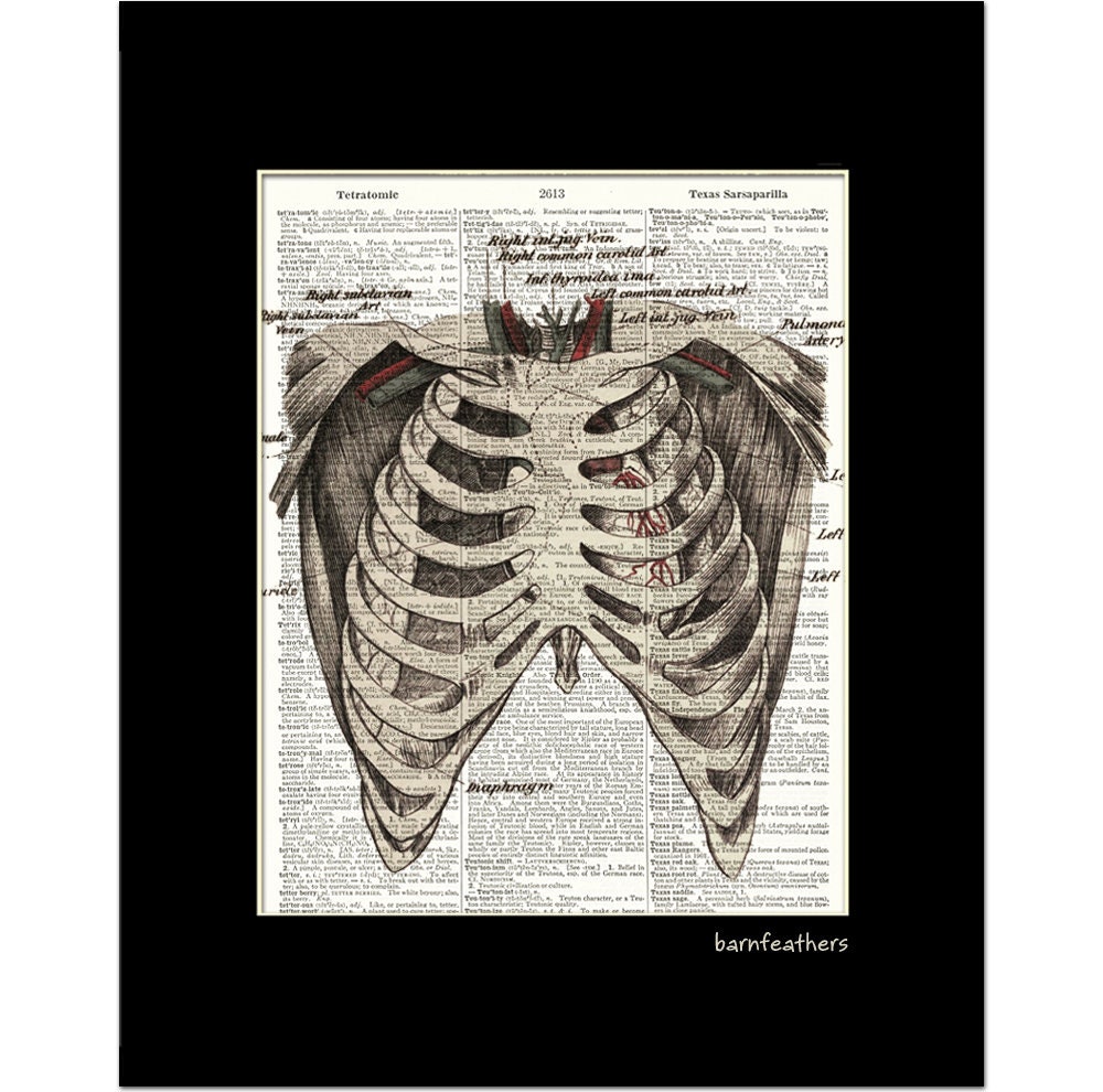 Vintage Rib Cage Anatomy Art - Dictionary Art Print - Vintage Medical ...