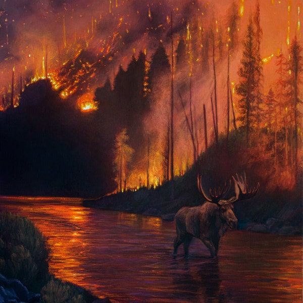 Wildlife Canvas Wall Art - Etsy