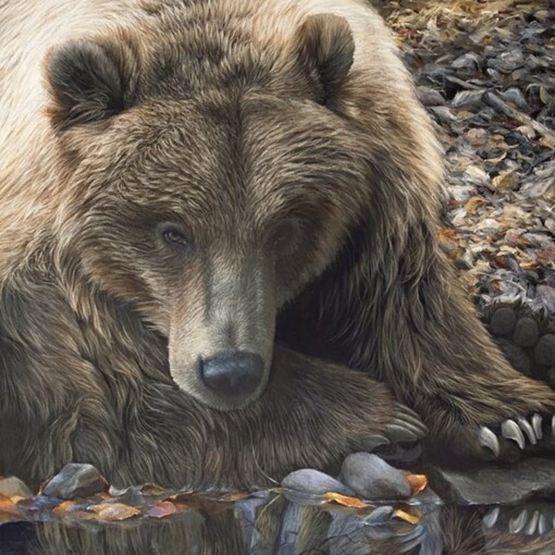 Bear Art - Etsy