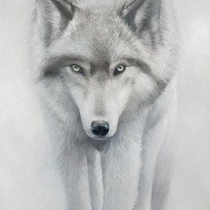 White Wolf Painting- Wolves in Winter Print Limited Edition Canvas Art ...