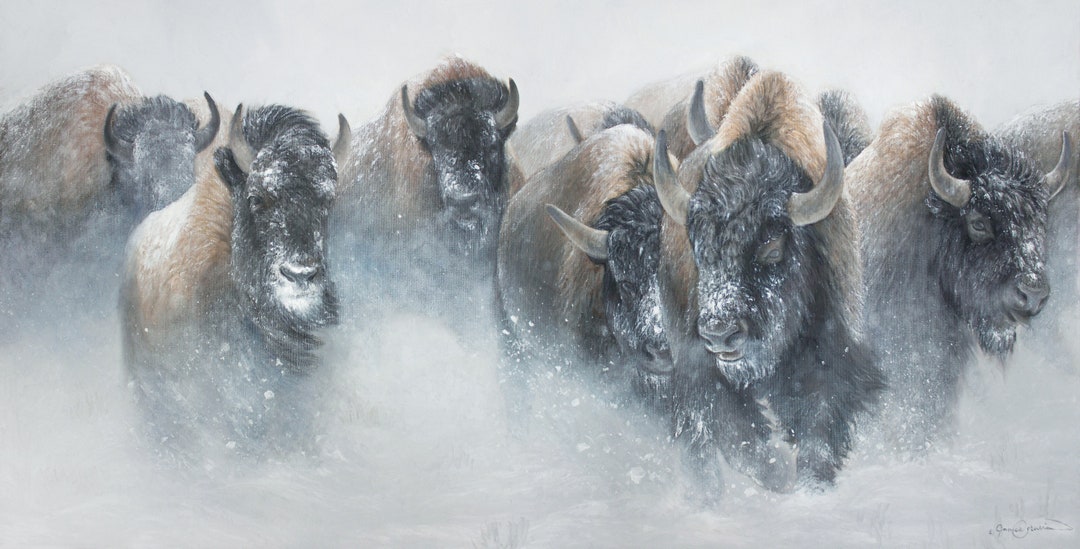 The Thundering Herd - Limited Edition North American Bison Buffalo ...